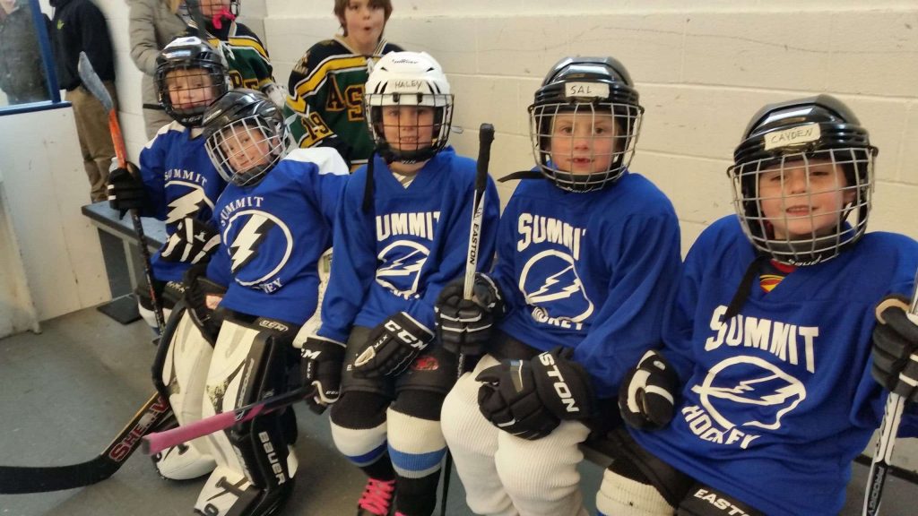 Skatesgiving fundraiser goes virtual to help keep Mites hockey free for ...