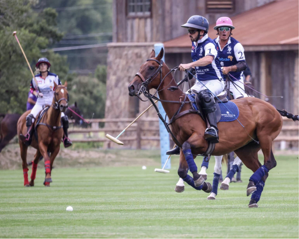 Photos: Prince Harry plays polo at Sentebale ISPS Handa Polo Cup outside of Carbondale ...