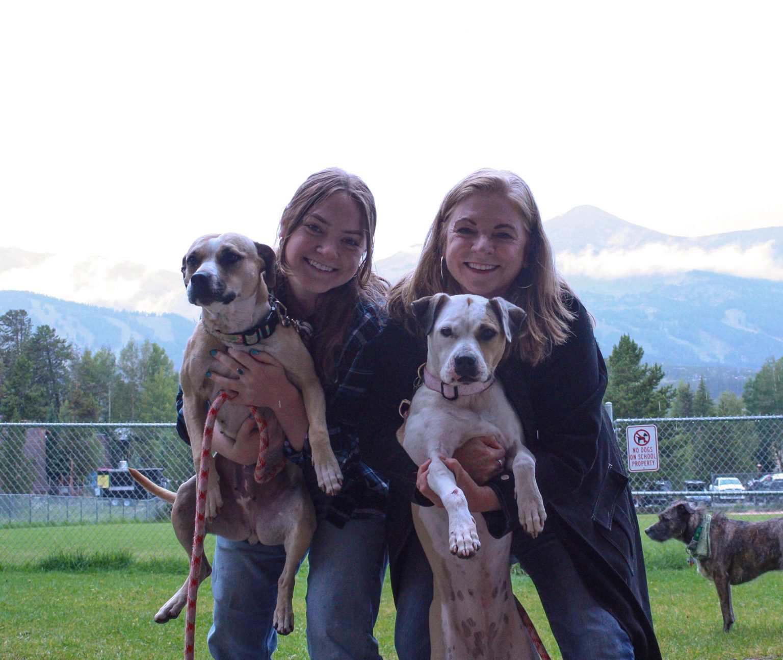 A Summit County dog was found after being on the run for 11 days in the ...