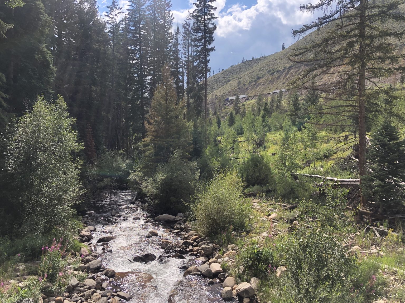 Straight Creek Trail fuels reduction project won’t involve clear ...