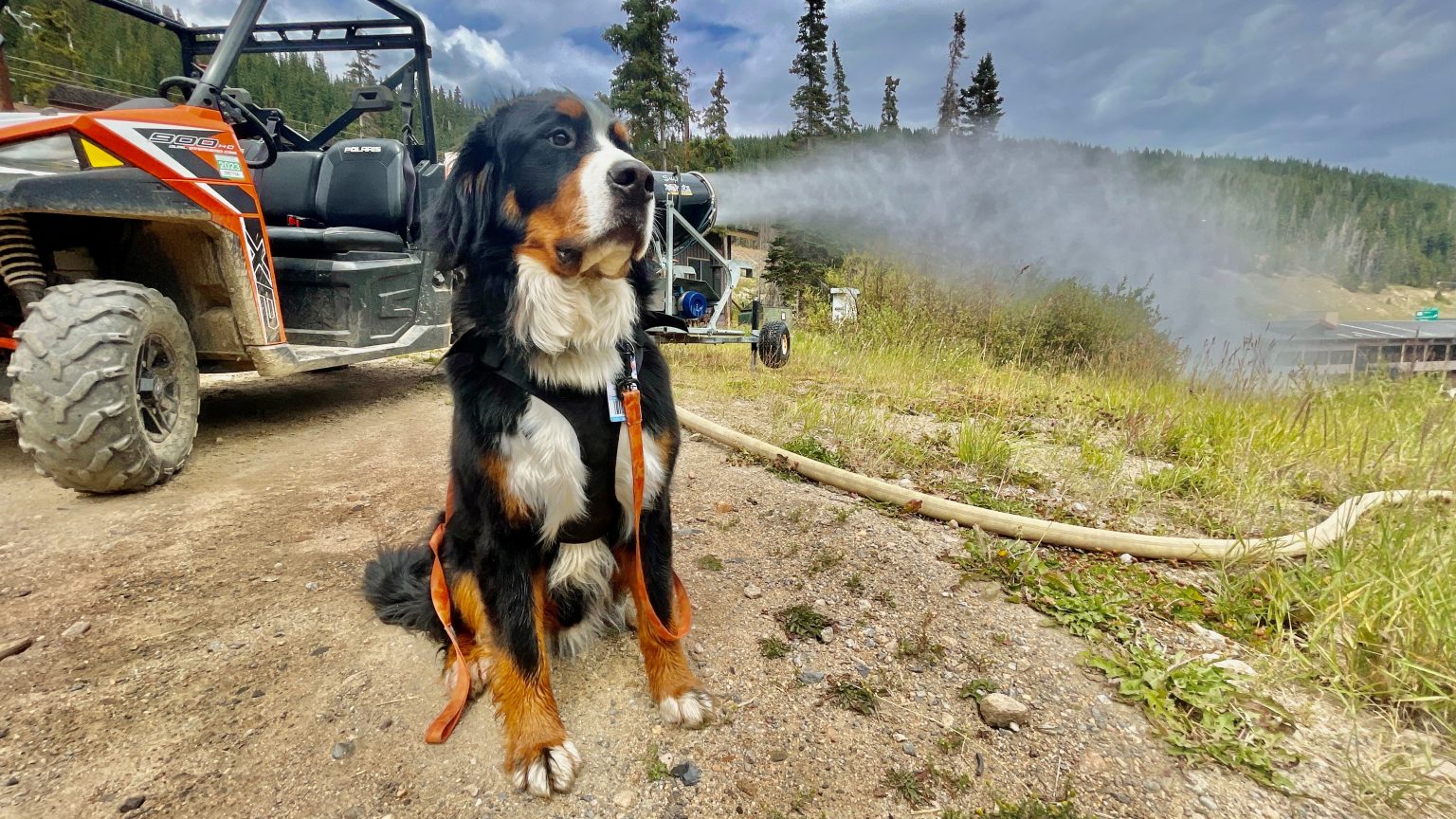 Loveland Ski Area’s mascot and honorary mayor of Georgetown dies in car ...