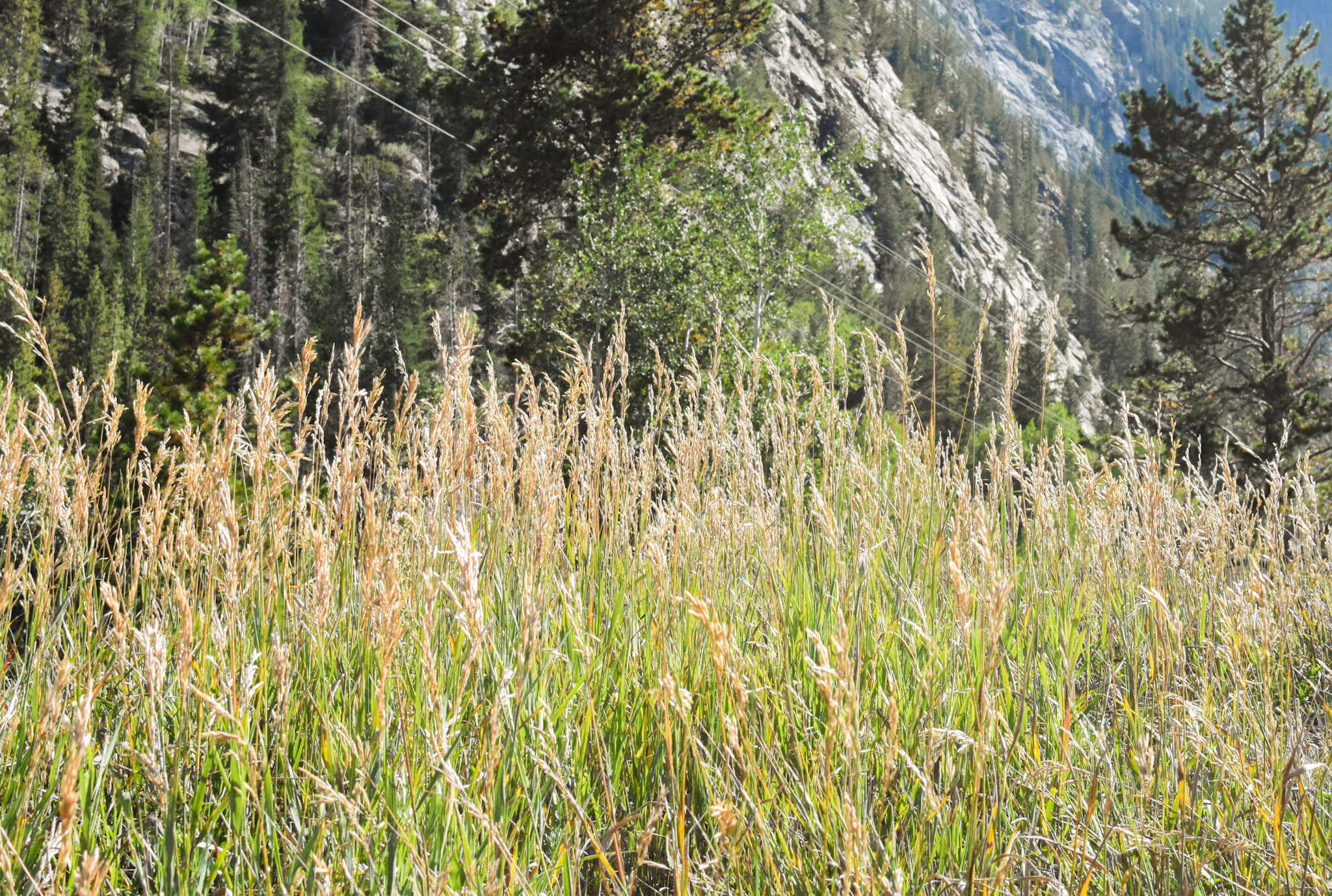 Summit County’s rainy summer evaporates with a speedy onset of autumn ...