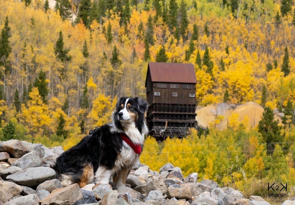 Reader photos: Fall foliage wows Summit County visitors and residents ...