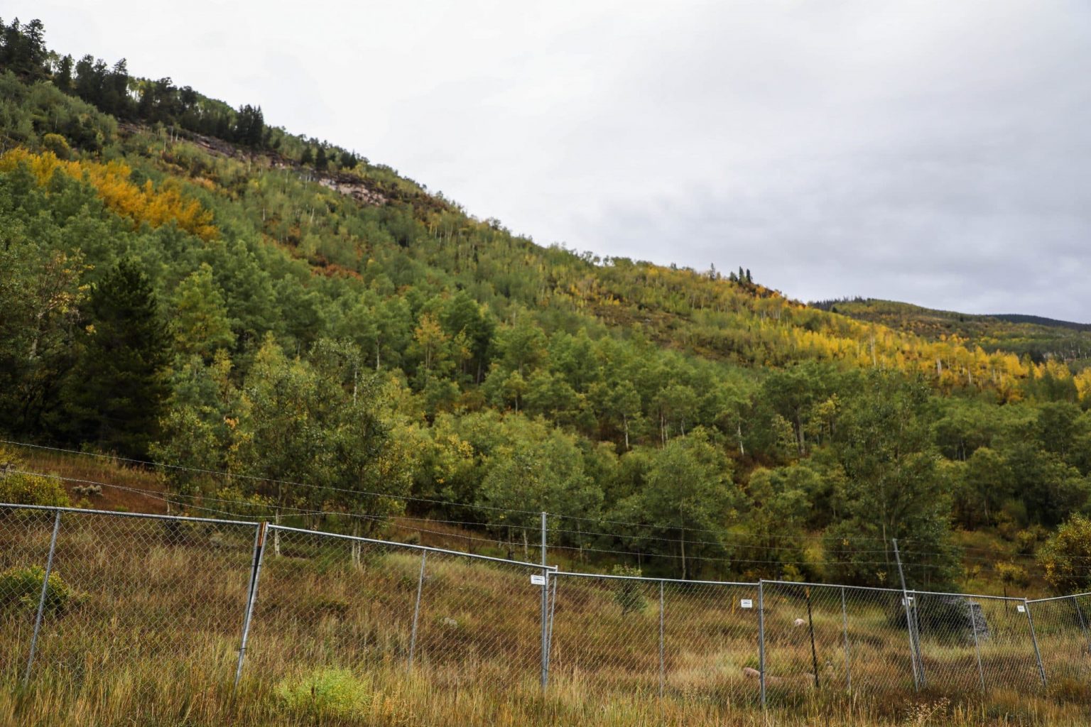 Vail files petition in condemnation for East Vail parcel | SummitDaily.com