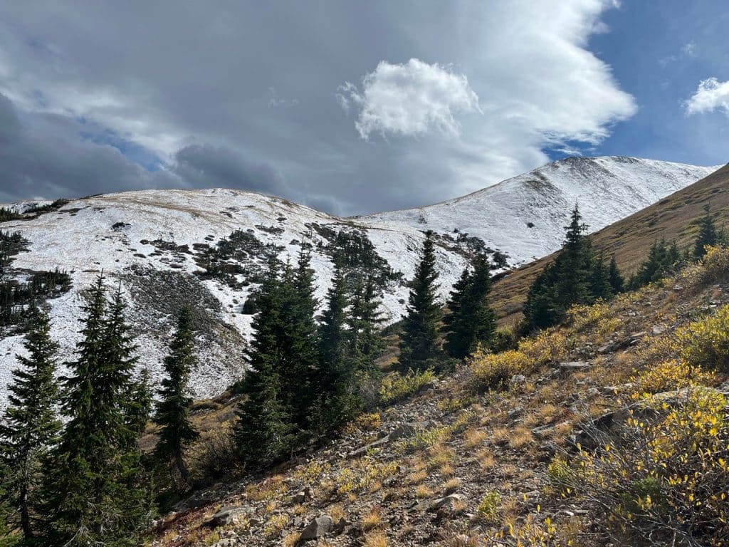 Get Wild: Indigenous roots protect nature’s roots | SummitDaily.com