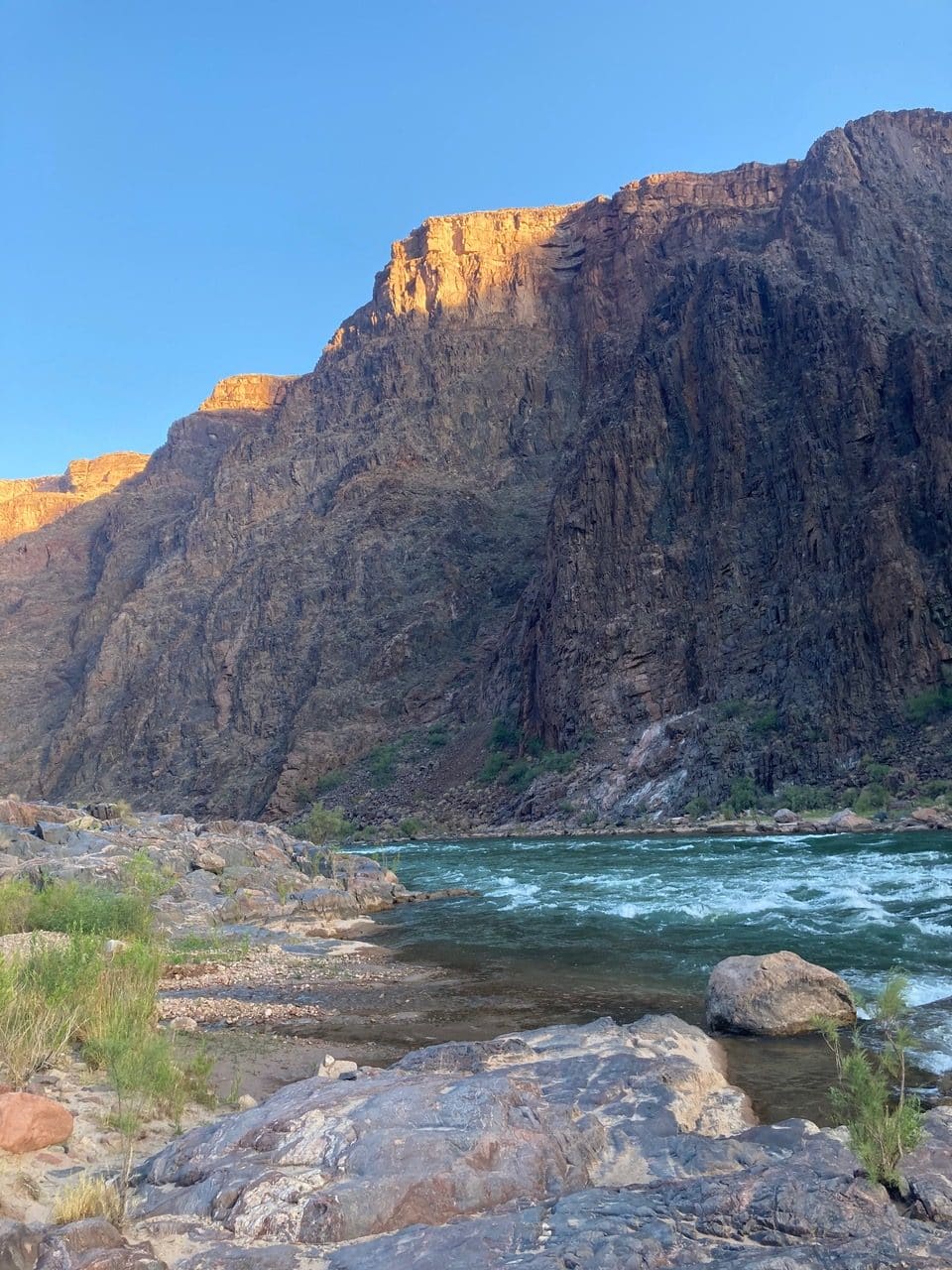 Get Wild: Thankful for water, in all its forms | SummitDaily.com