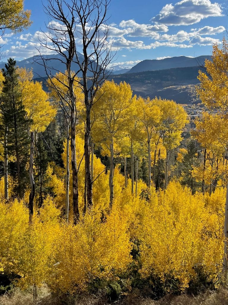 Reader photos: Summit Daily’s Fall Photos Gallery ends | SummitDaily.com