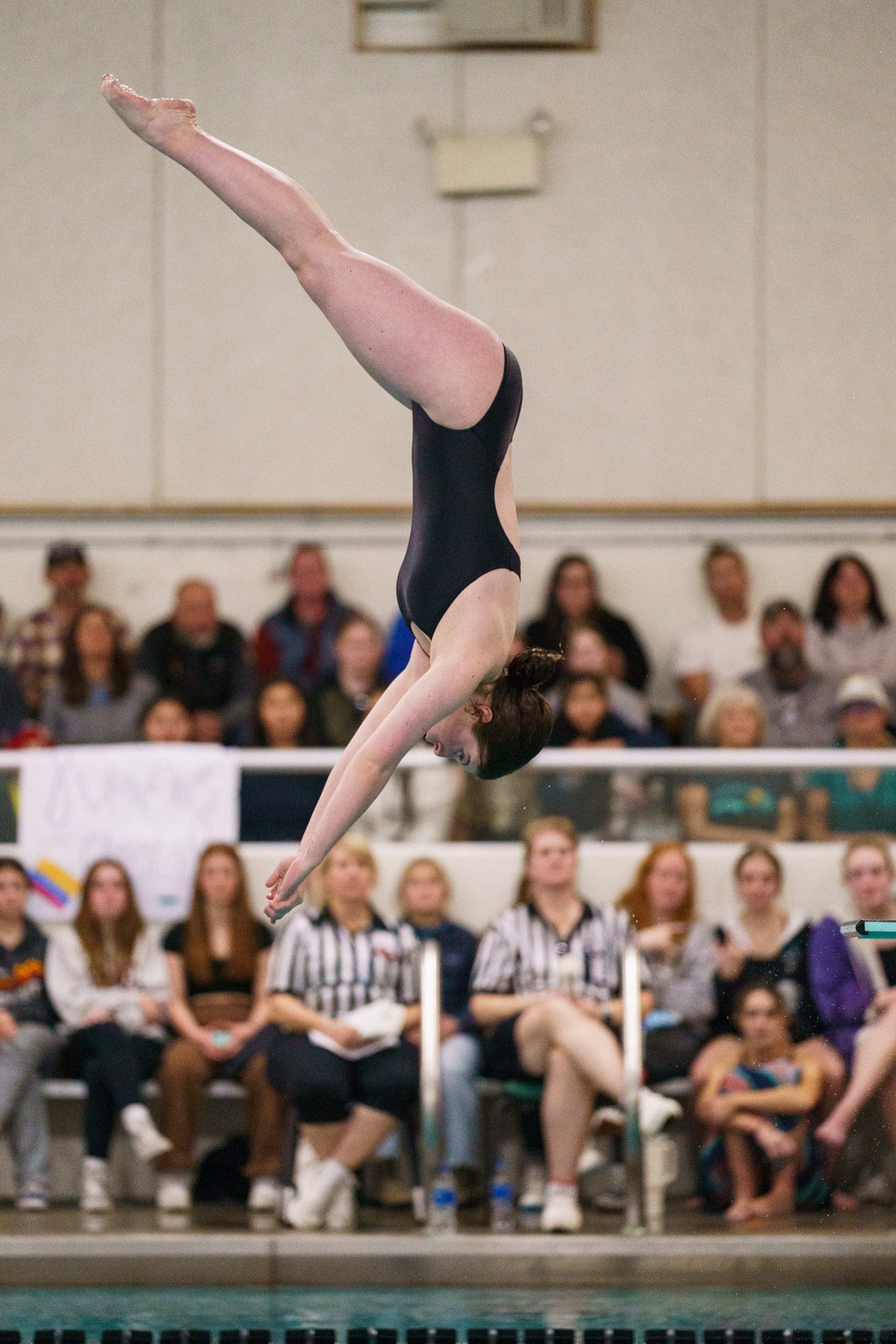 Summit swim and dive team splashes into holiday break with 2nd place ...