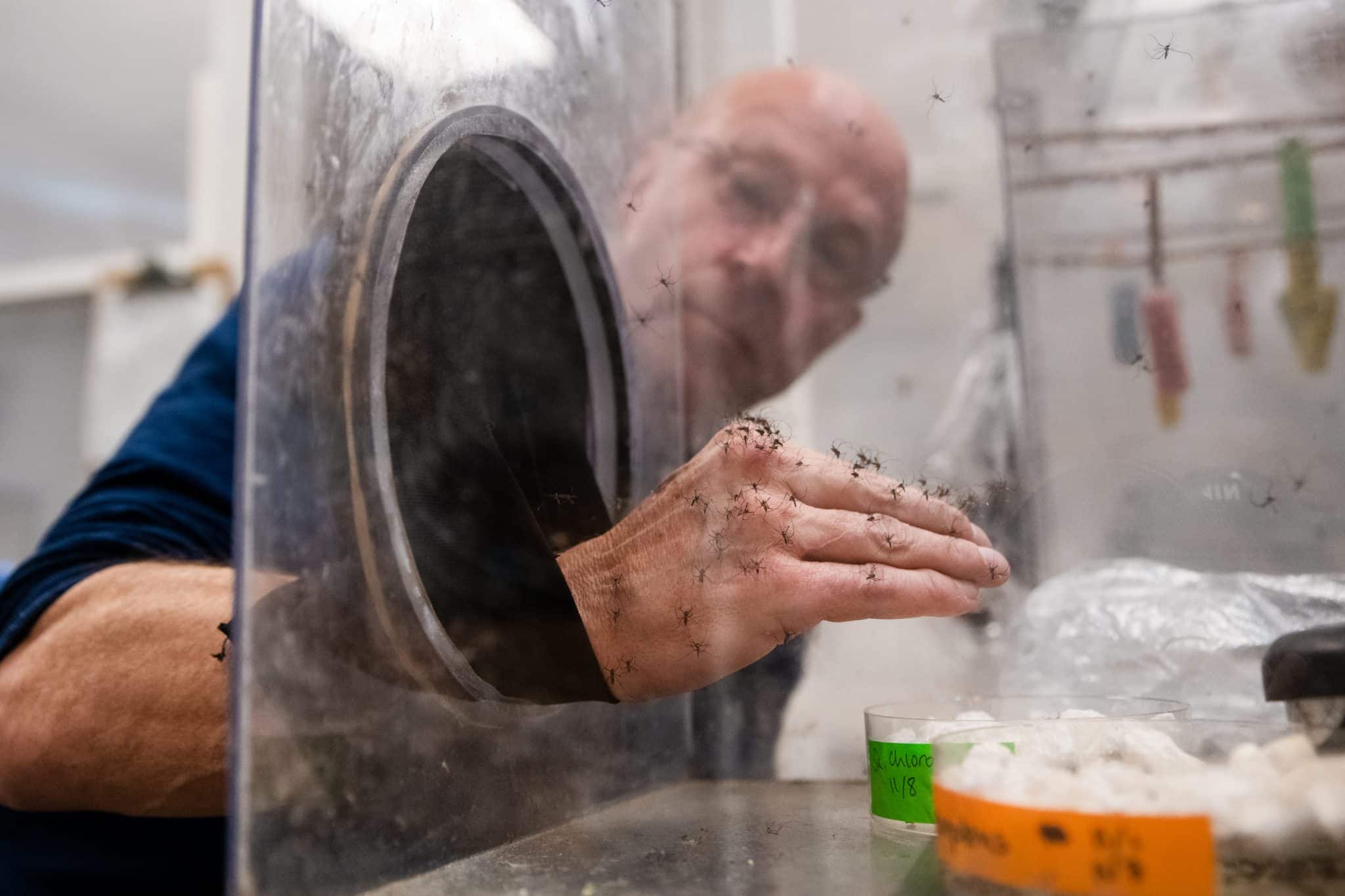 Meet the Mosquito Man, who is on a quest — bite by bite — to understand ...