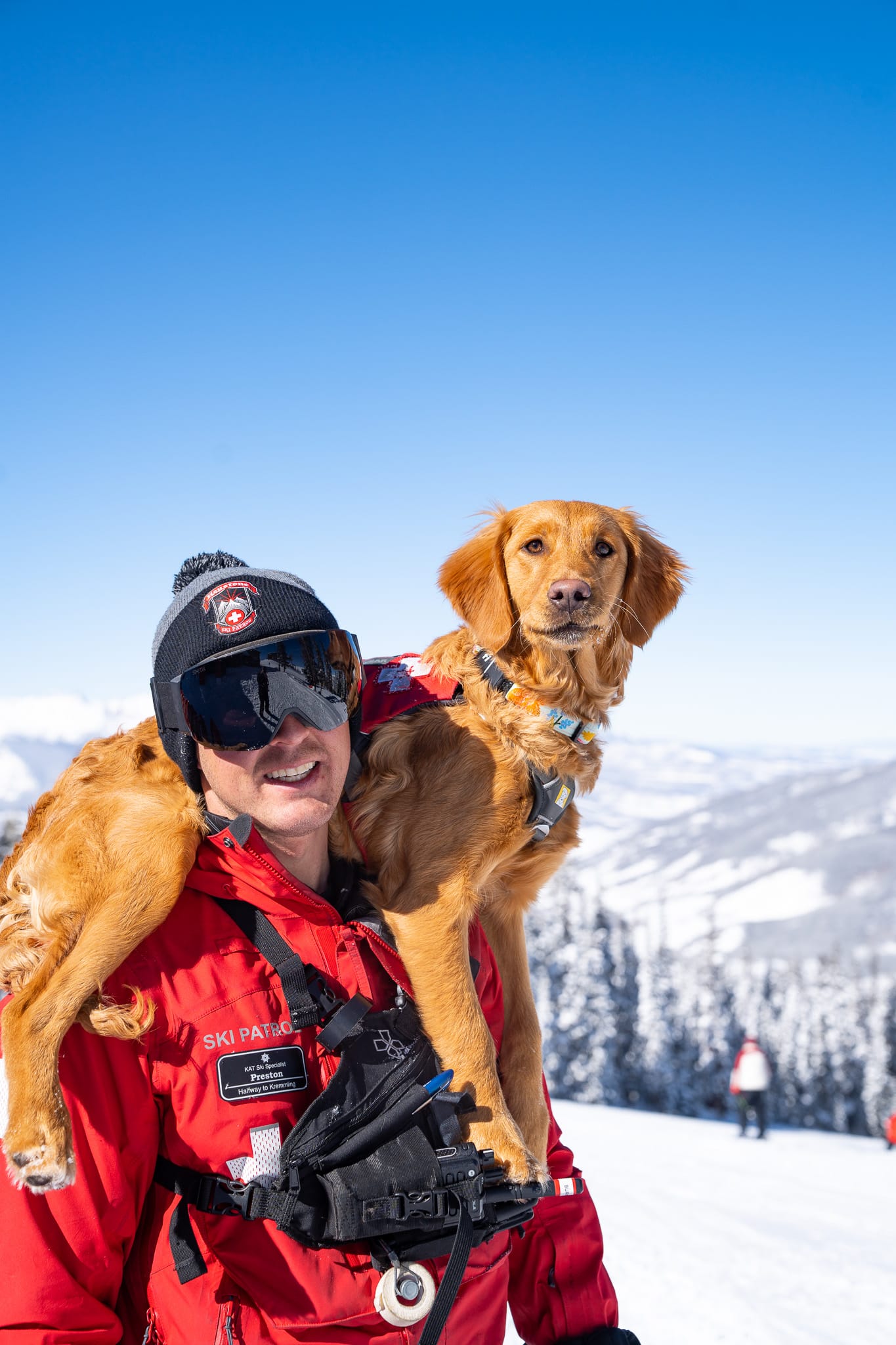 A foundation of trust: Lisi the golden retriever trains to become ...