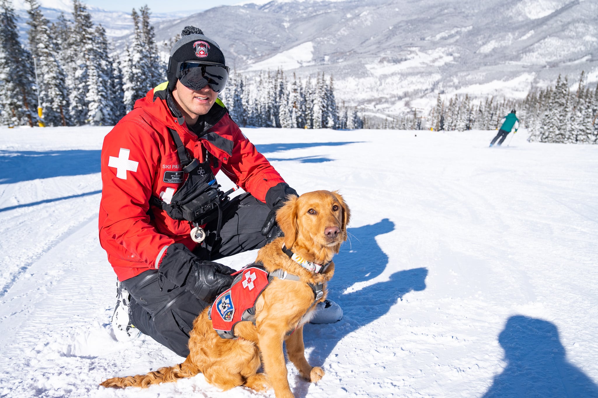 A foundation of trust: Lisi the golden retriever trains to become ...