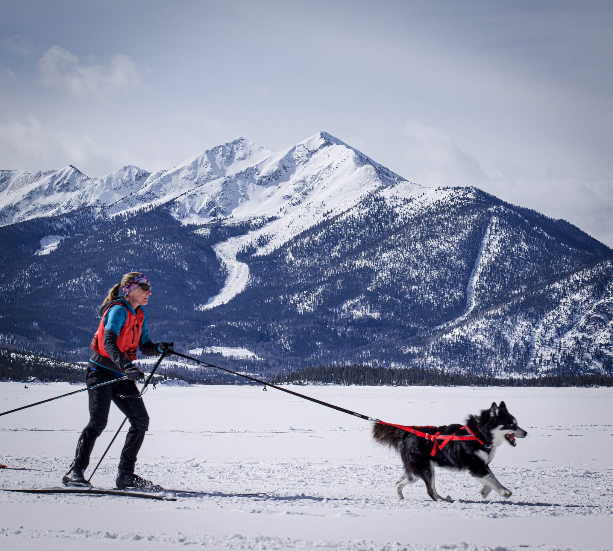 Winter events on the Dillon Reservoir include expanded dog sled races ...