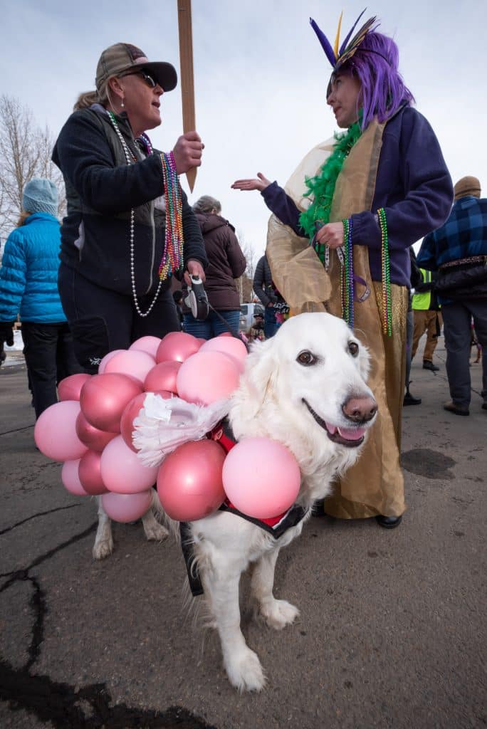 PHOTOS: Dogs in costume parade down Frisco’s Main Street for Mardi Gras ...