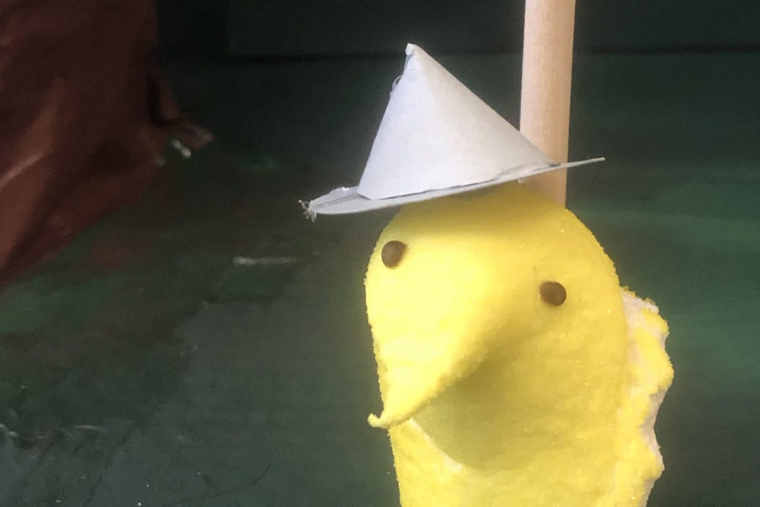 Make your favorite books come to life using Peeps with Summit County ...