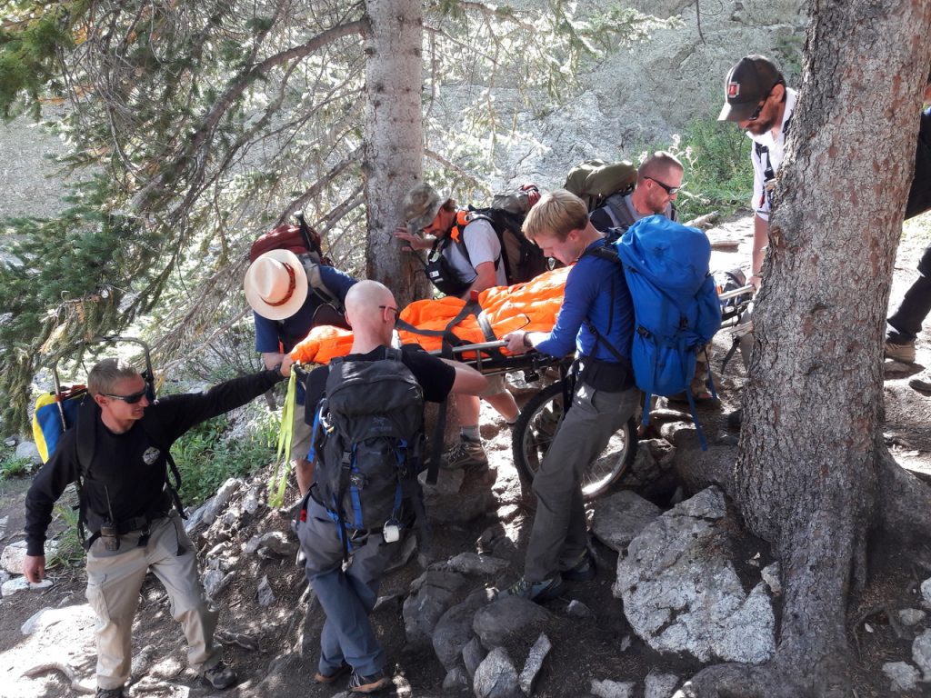 Get Wild: Do adults need to hug a tree? | SummitDaily.com