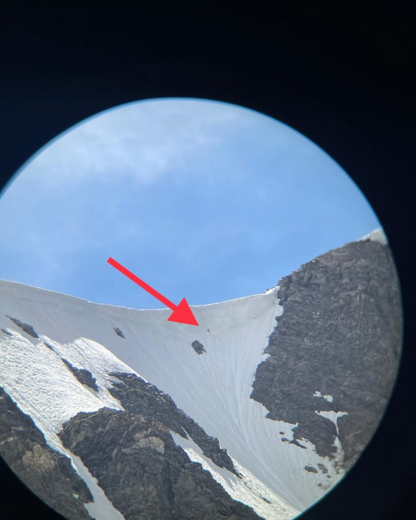 Rescue group saves dog that fell 600 feet from Colorado 14er ...