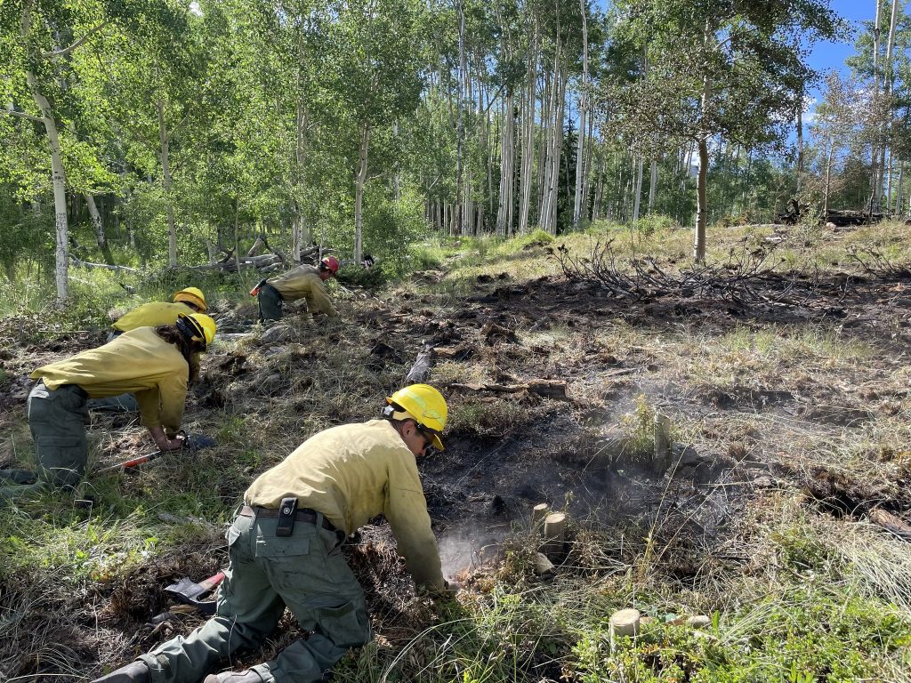 Firefighters have ‘knocked the remaining heat out’ of the Lily Pad Fire ...