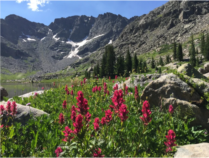 Get Wild: Can we save our wilderness areas? | SummitDaily.com