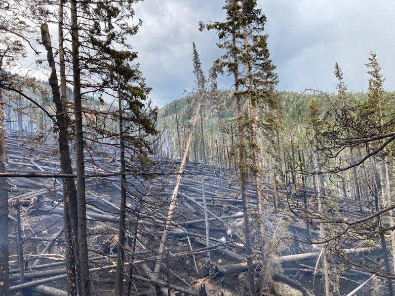 Fire in Grand County grows to 79 acres, containment drops to 25% ...