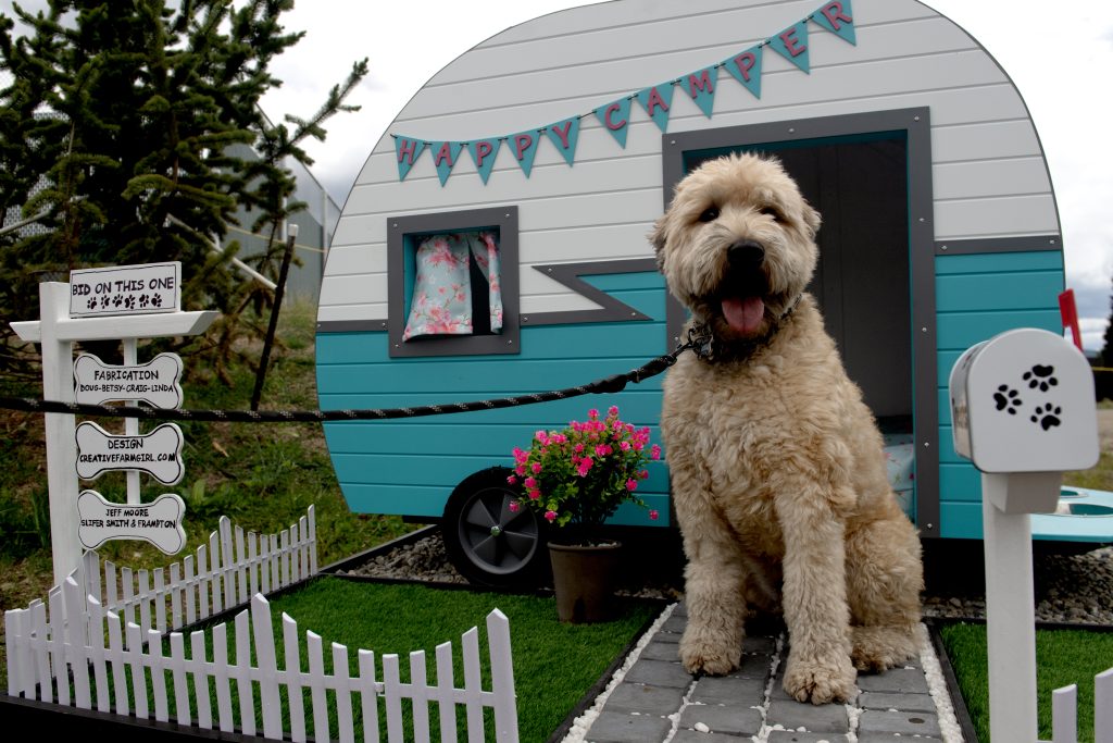 Photos: K9 Cabins on display in Dillon Town Park as part of Playhouse ...