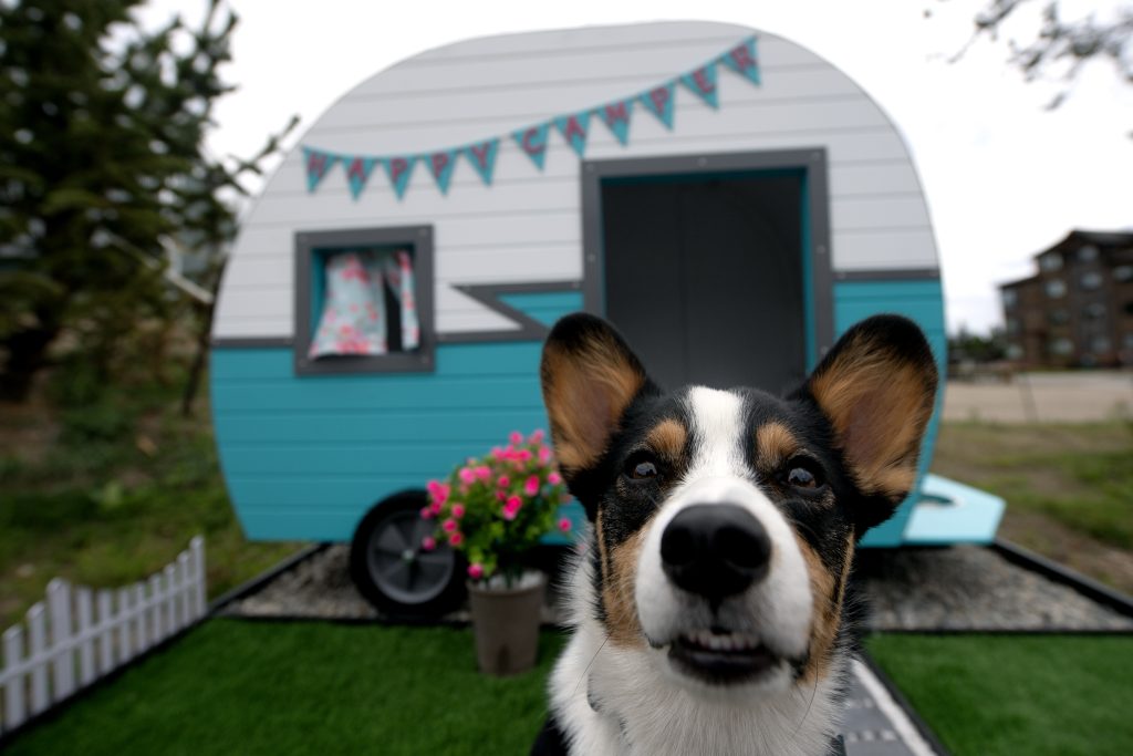 Photos: K9 Cabins on display in Dillon Town Park as part of Playhouse ...