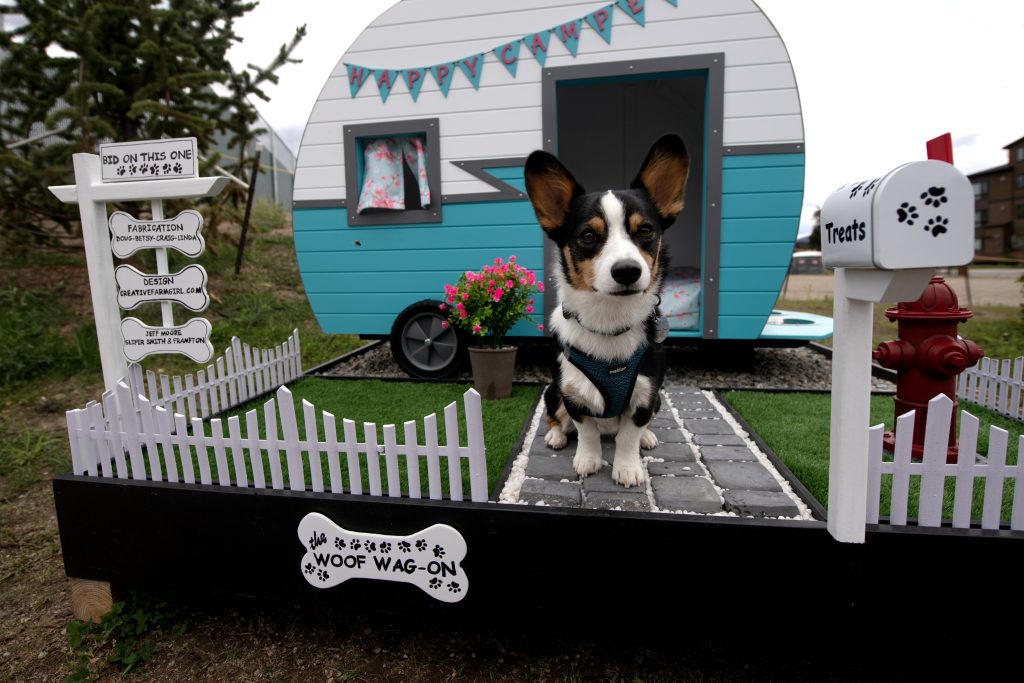 Photos: K9 Cabins on display in Dillon Town Park as part of Playhouse ...