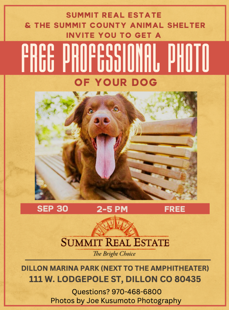 Summit County Animal Shelter fundraiser will offer free pet portraits ...