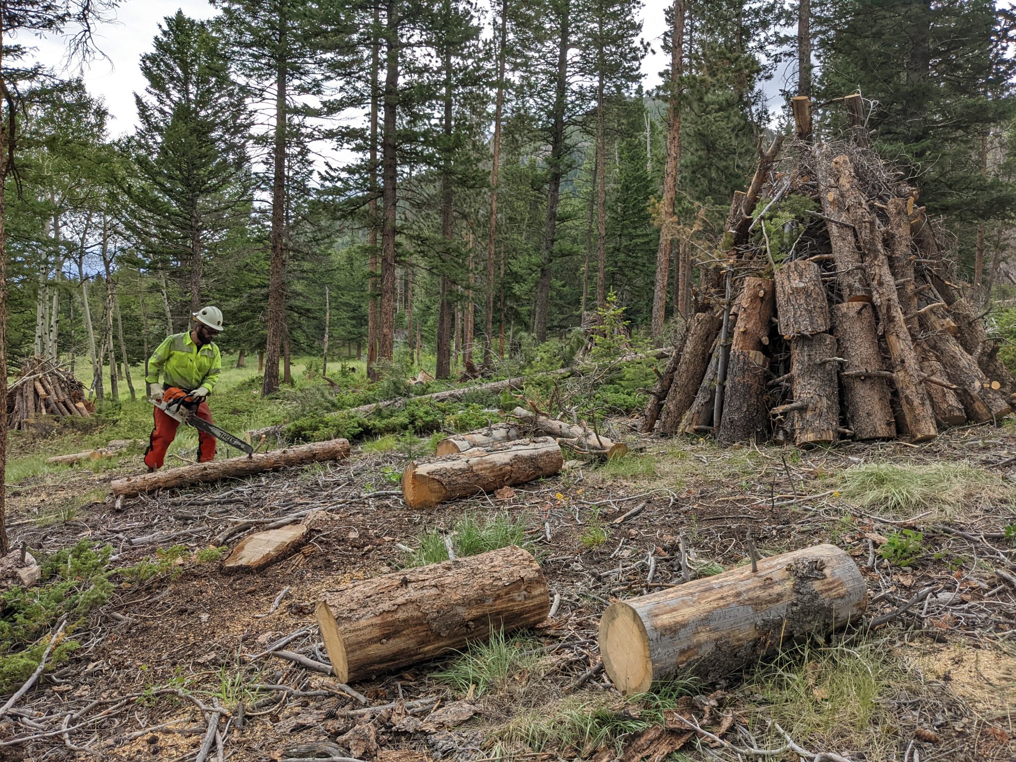 Rocky Mountain National Park to reduce wildfire risks with fuel ...