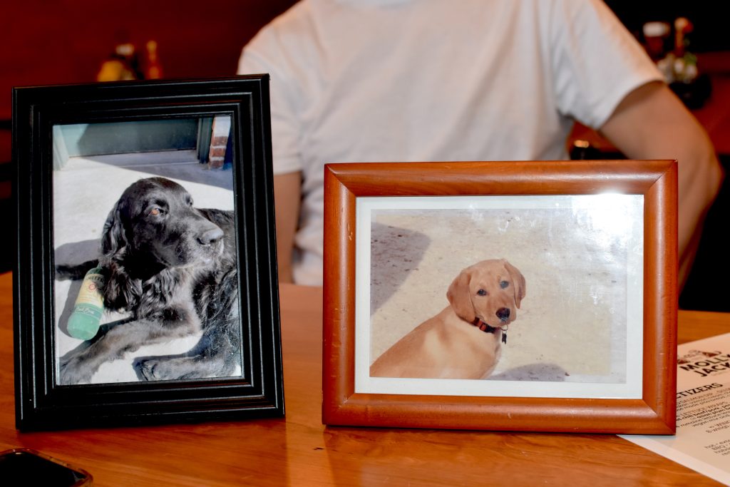 Meet the dogs that inspired Breckenridge’s newest bar | SummitDaily.com