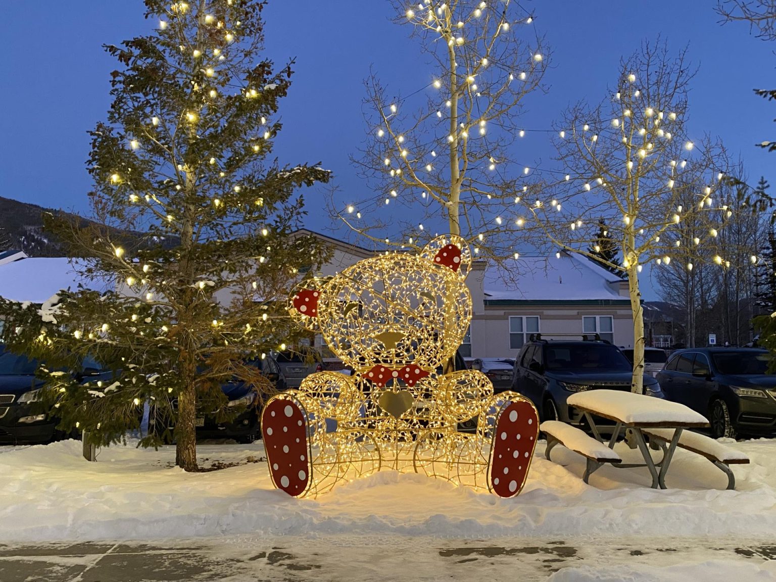 Taking Christmas lights to new heights: Don’t miss this holiday ...