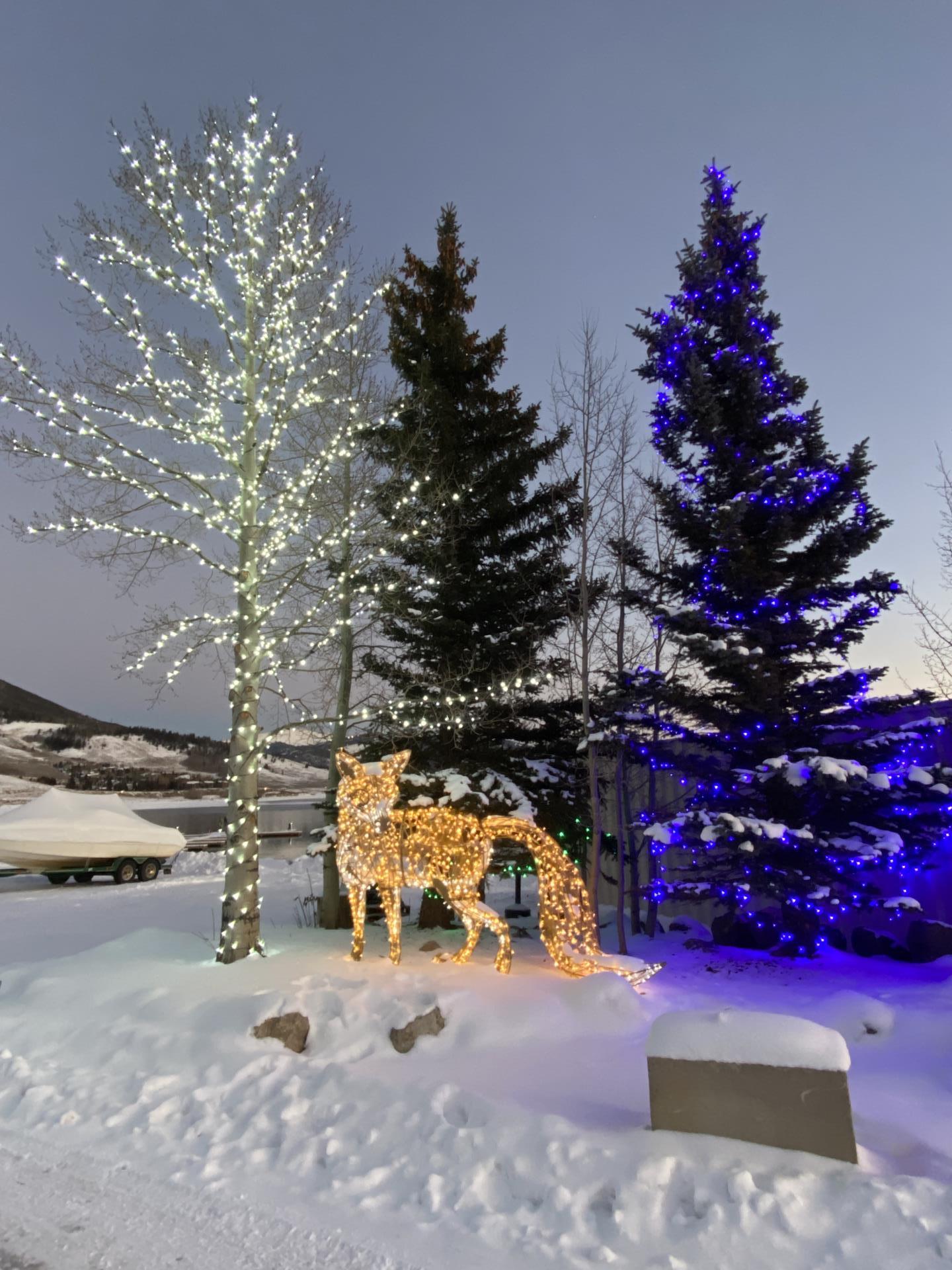 Taking Christmas lights to new heights: Don’t miss this holiday ...
