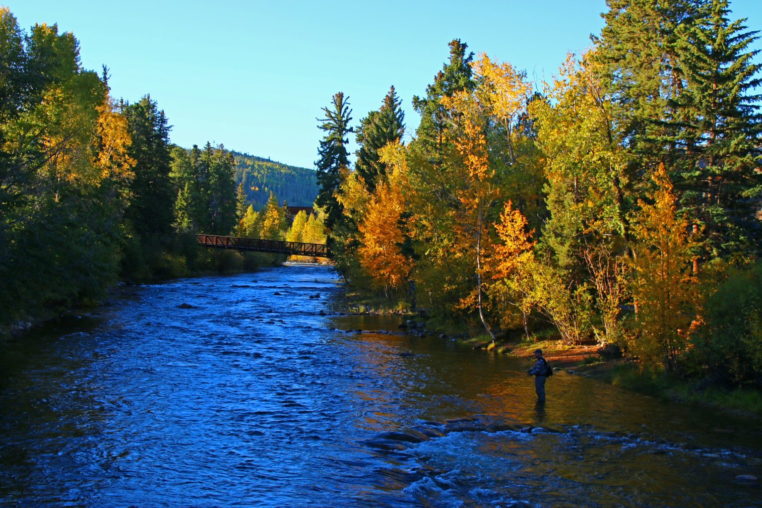 Federal agency awards $1.8 million grant aimed at getting the Blue ...