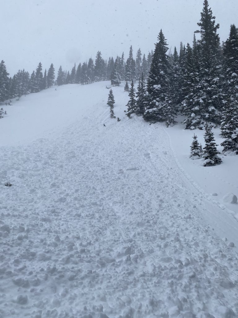 Skiers — and moose — are triggering dangerous remote avalanches in ...