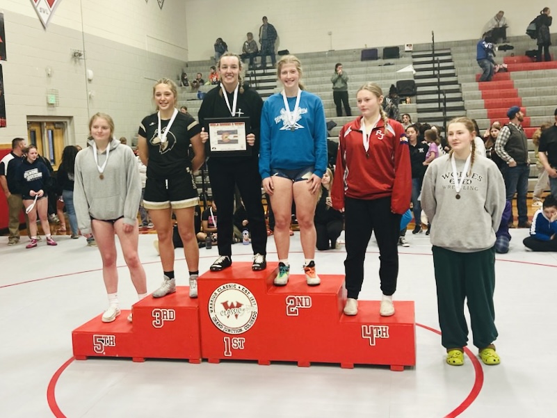 Summit High School wrestlers qualify for state meet after strong ...