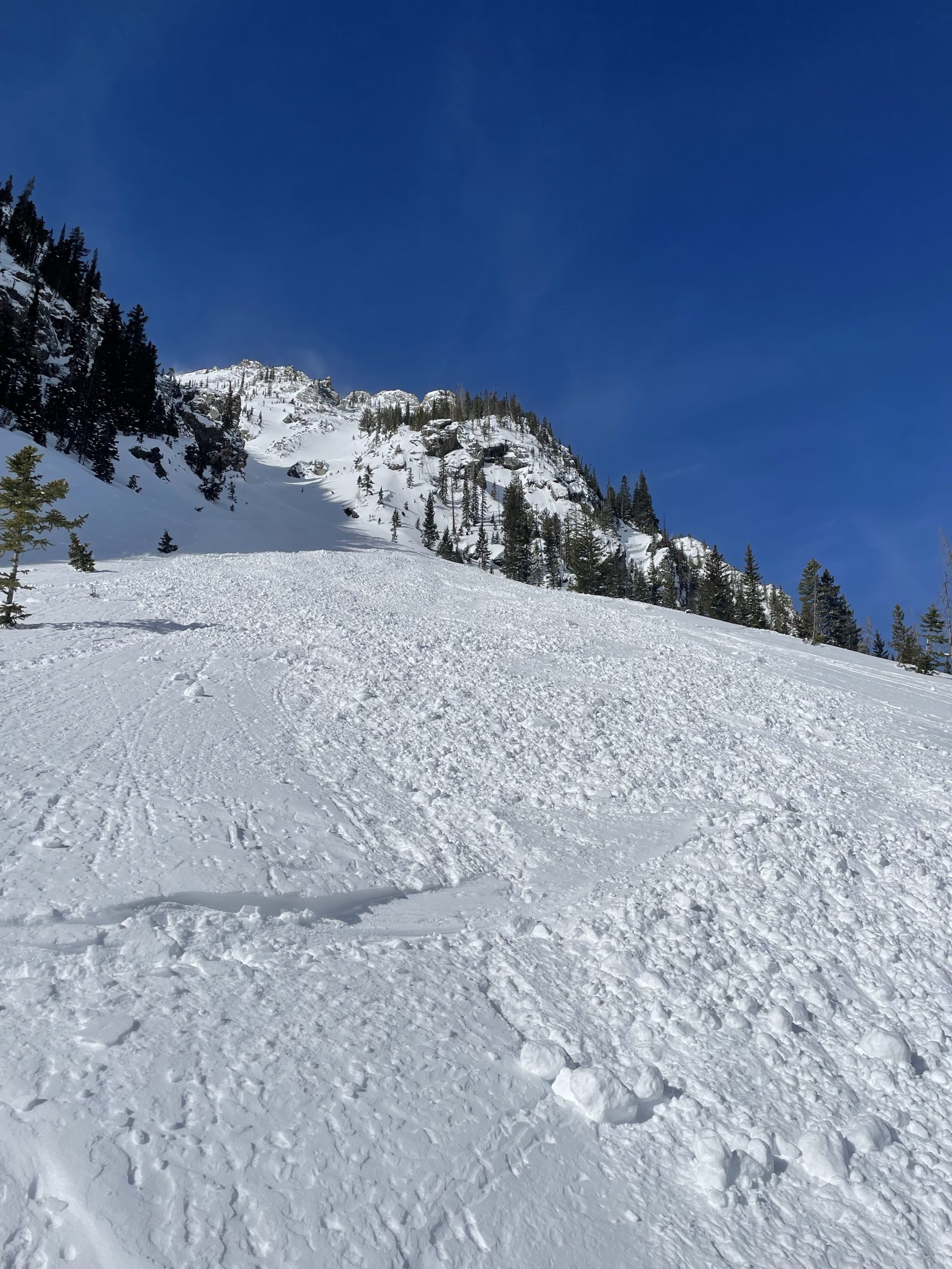 Back-to-back avalanches on Buffalo Mountain that caught, injured skiers ...