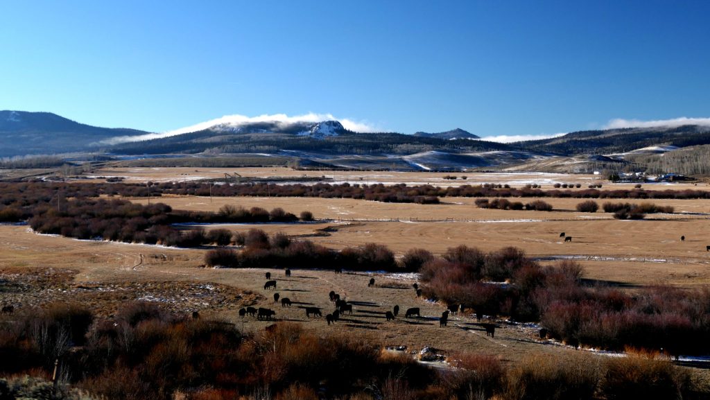 Colorado Department of Agriculture to provide $20,000 for range riders ...