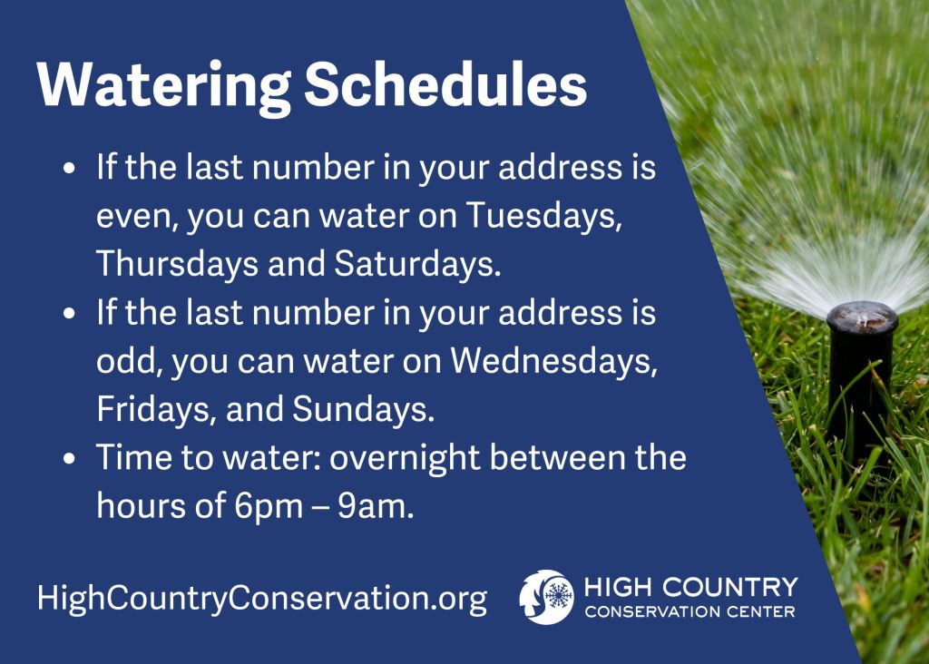 Ask Eartha: How will the new lawn watering schedule affect me ...