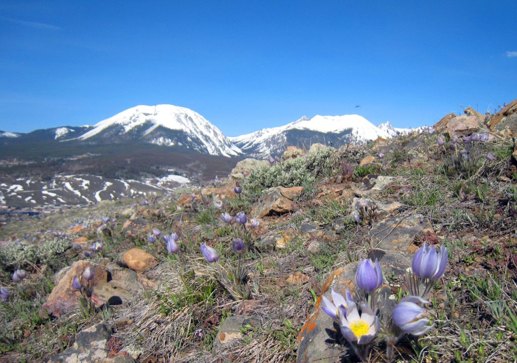 Get Wild: Ups and downs of spring hiking | SummitDaily.com