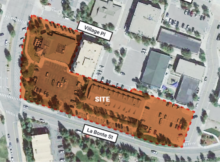 Porritt Group proposes public-private partnership with Dillon for ...