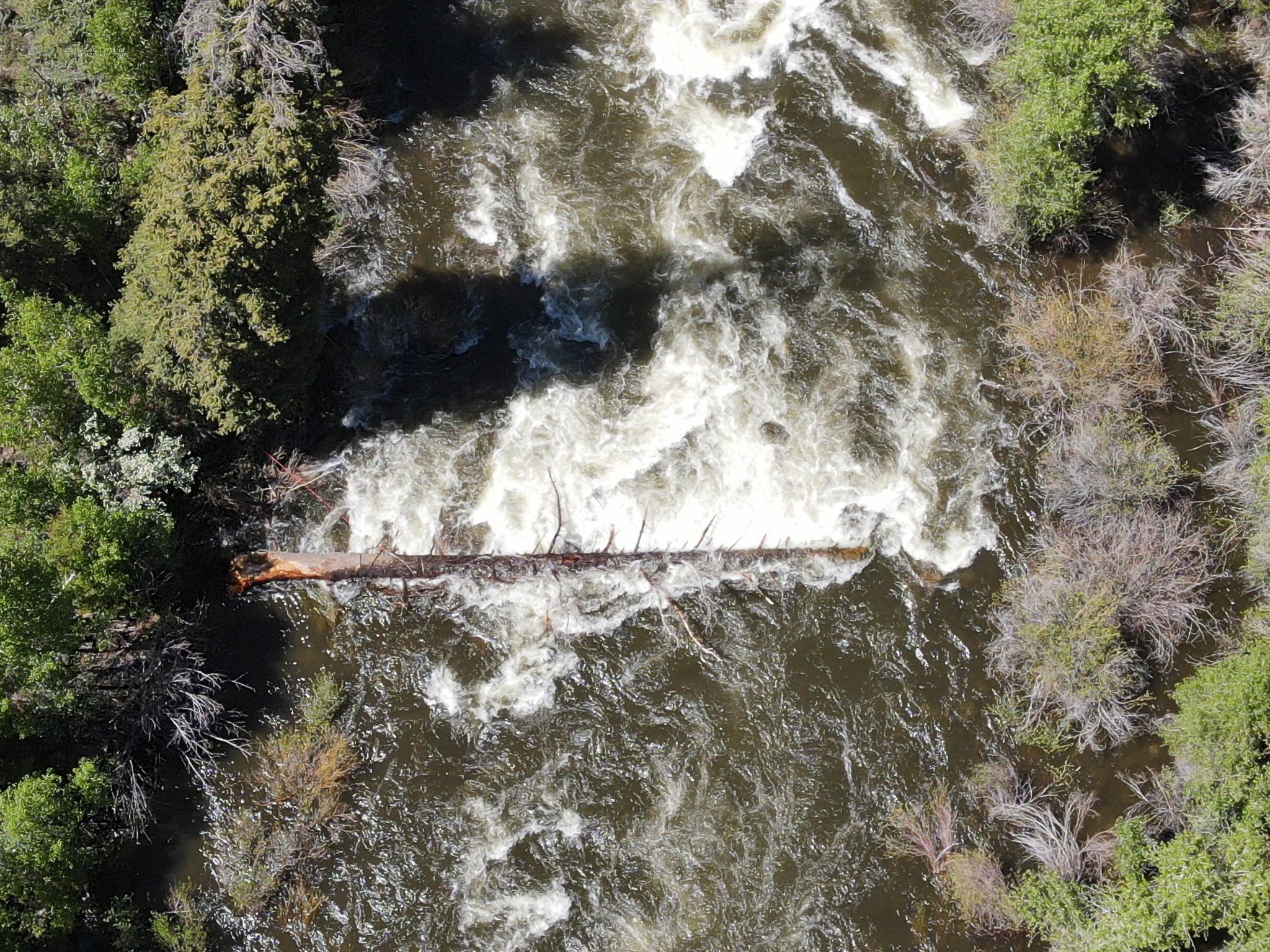 Rafting season’s off to a ‘nice and splashy’ start in Summit County as ...