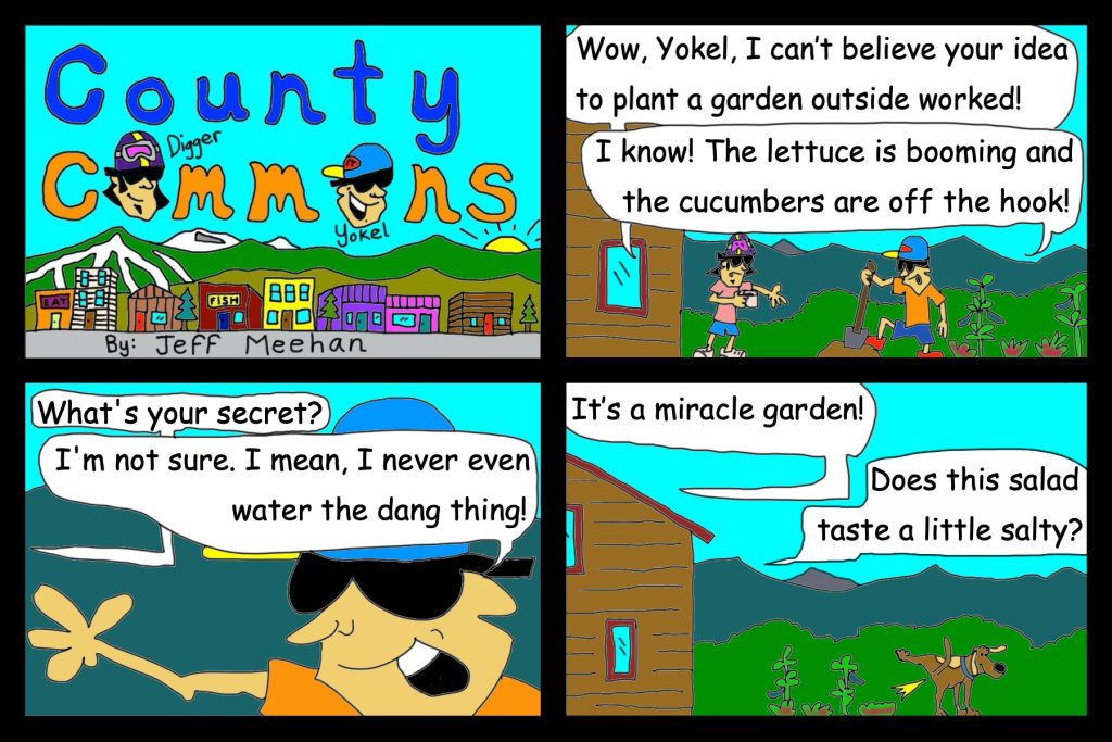 County Commons: Miracle garden | SummitDaily.com