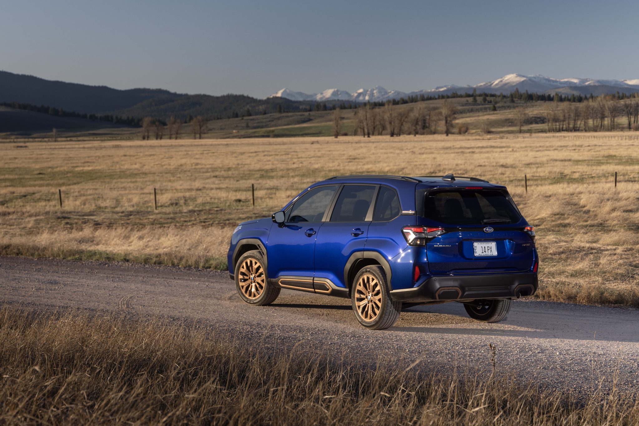 Mountain Wheels: Modernized 2025 Subaru Forester is a major stylistic ...