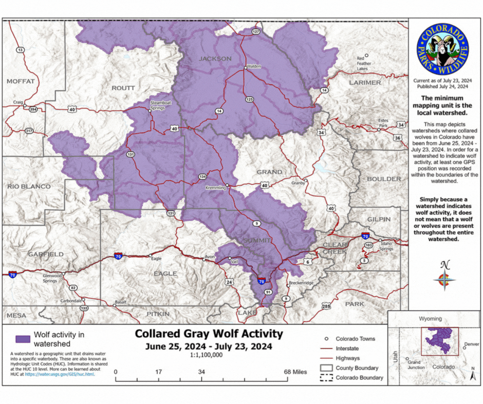 Colorado’s July wolf activity map includes update on hazing rumors ...