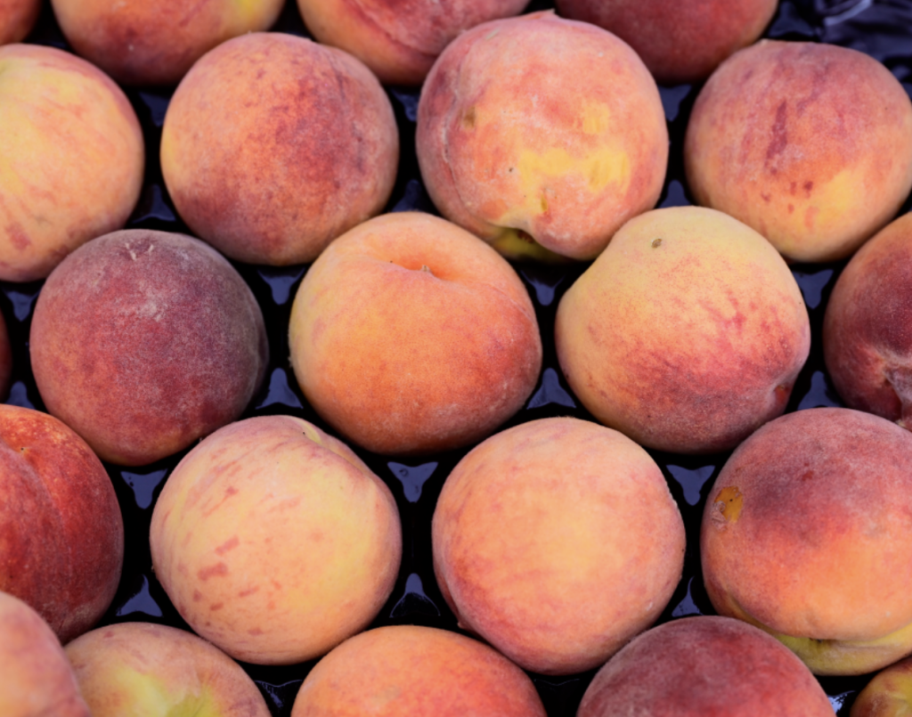 Why the price of Colorado-grown peaches is going up | SummitDaily.com