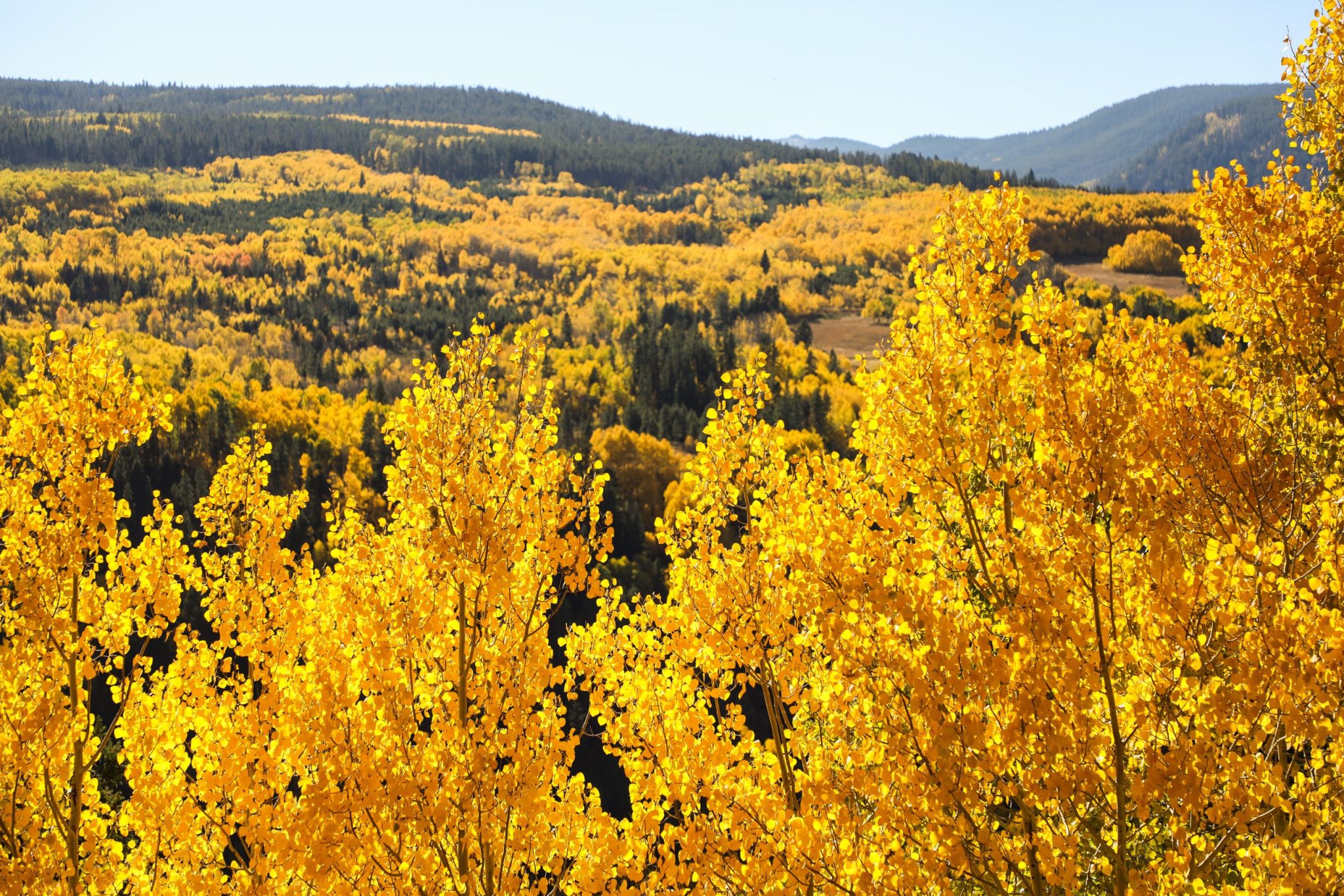 See when and where Colorado’s fall color will peak this year ...