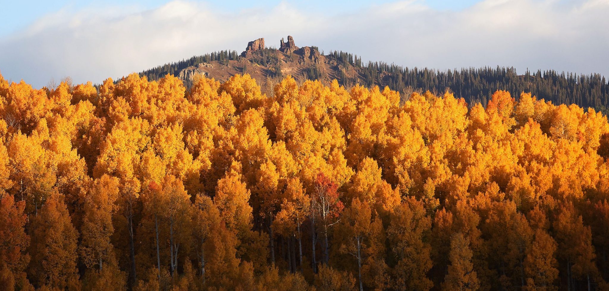 See when and where Colorado’s fall color will peak this year ...