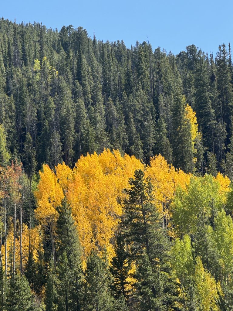 PHOTOS: Signs of fall in Summit County | SummitDaily.com