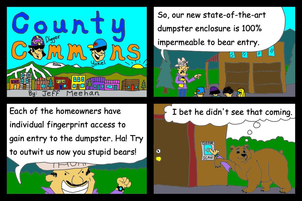 County Commons: Bear entry | SummitDaily.com