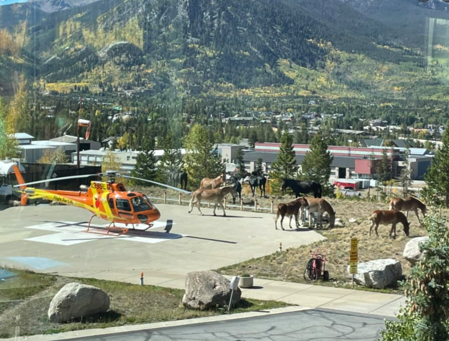 Looking back on the biggest news of 2024 in Summit County | SummitDaily.com