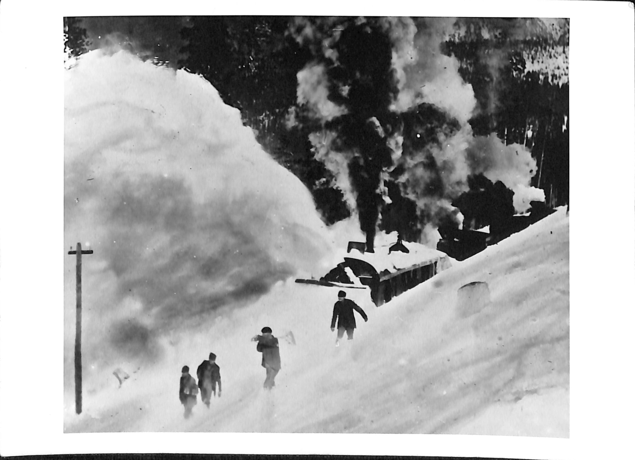 Top 5 most-read stories last week: Snowstorm, wolf map and avalanches ...